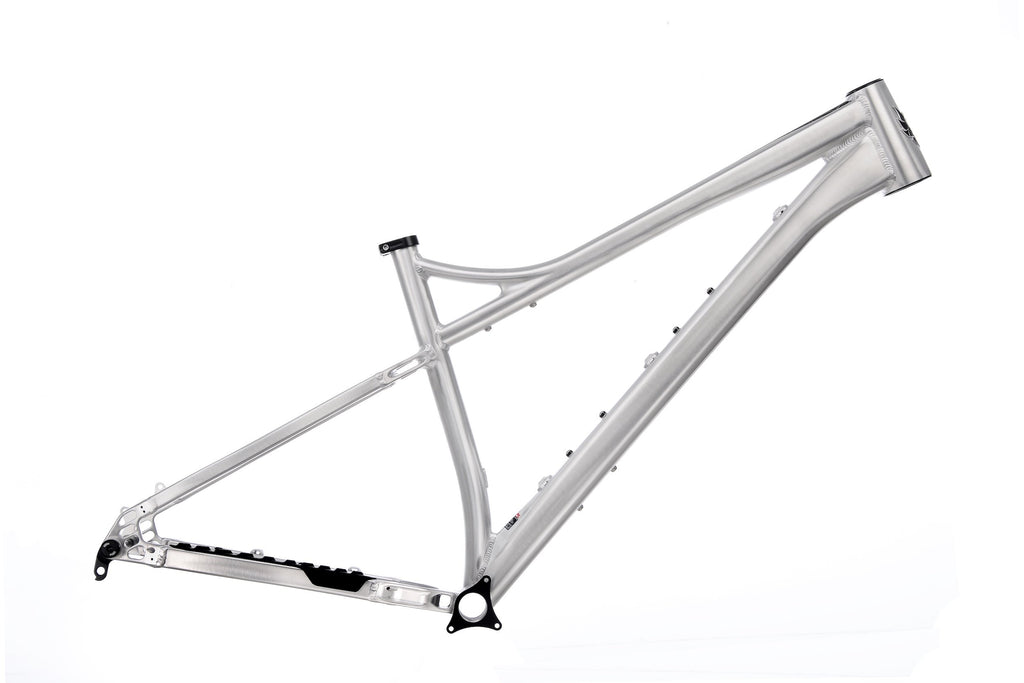 Banshee Anomaly frame – Dirt Merchant Bicycles